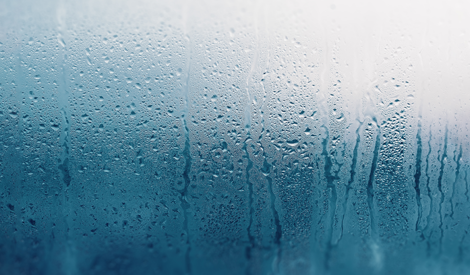 Javad Razjouyan - Public Health Post